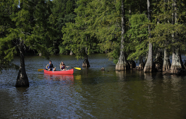 Trap Pond State Park