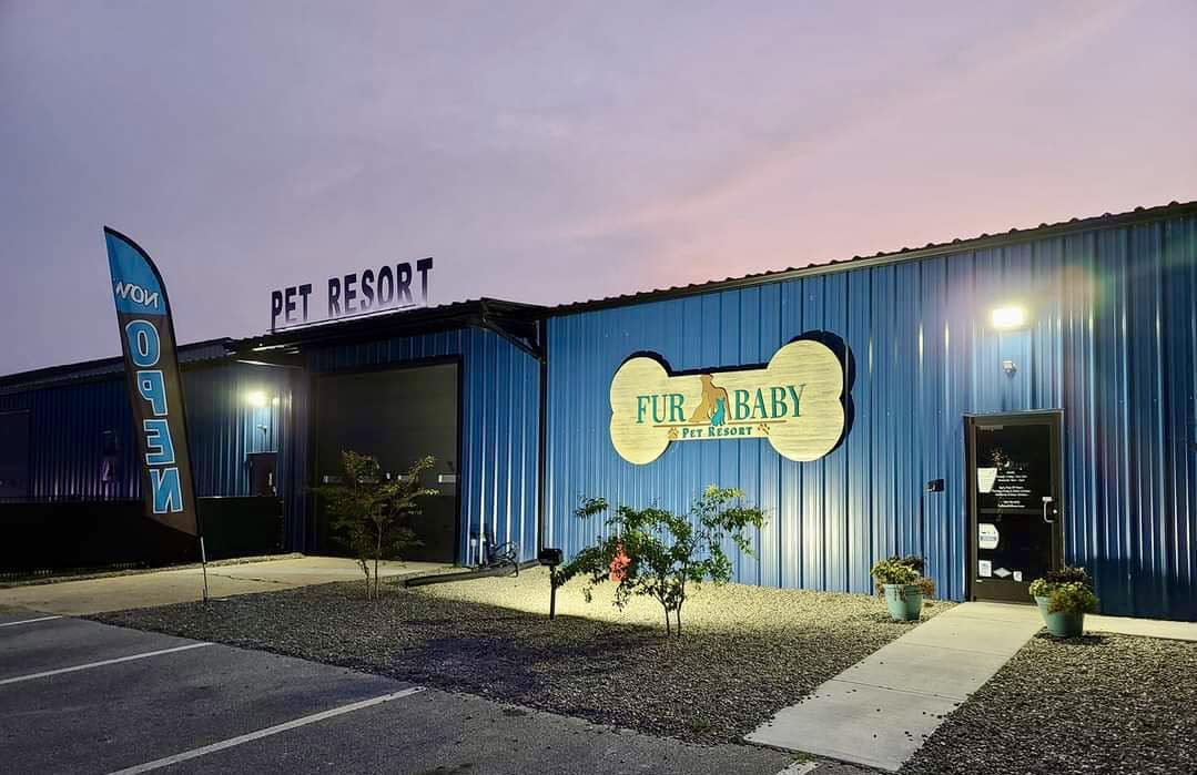 Fur Baby Pet Resort