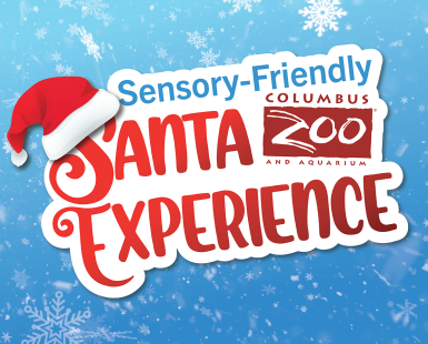 Sensory-Friendly Santa Experience