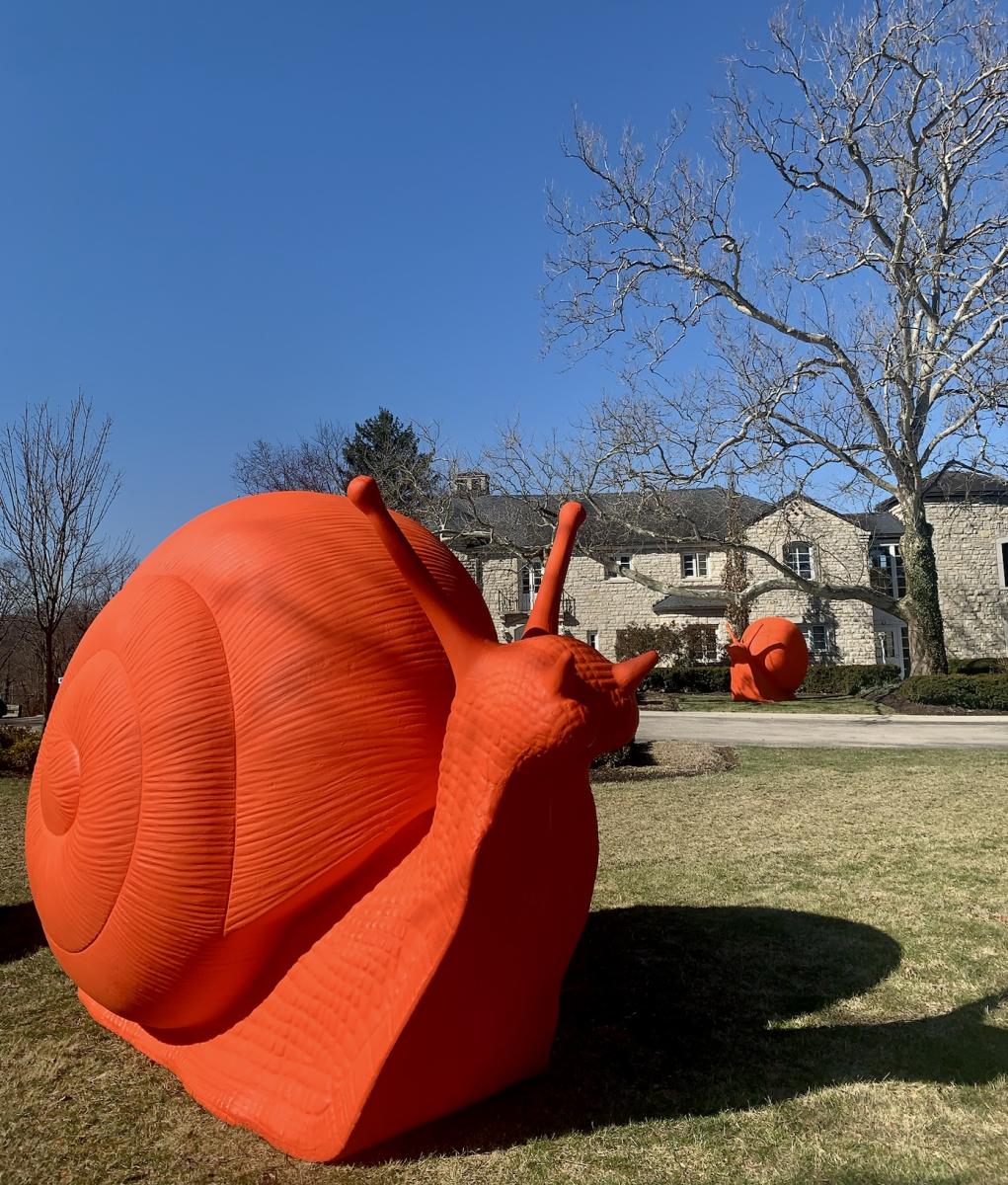 Dwelling: A Snail's Journey