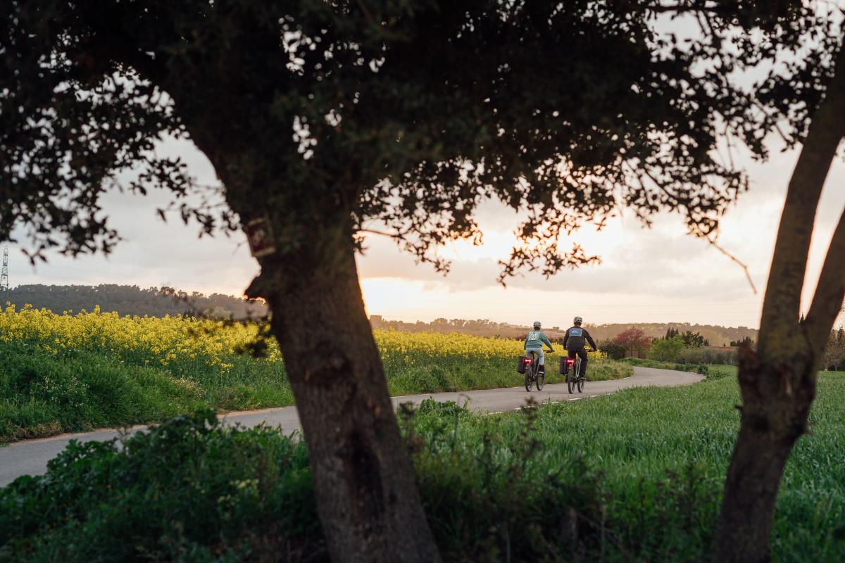 Brimstone Bikes | Visit Durango, CO | Official Tourism Site