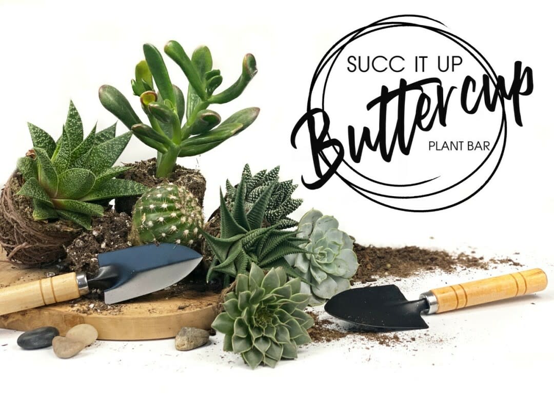 Succ It Up Buttercup Plant Bar | Eau Claire, WI 54703