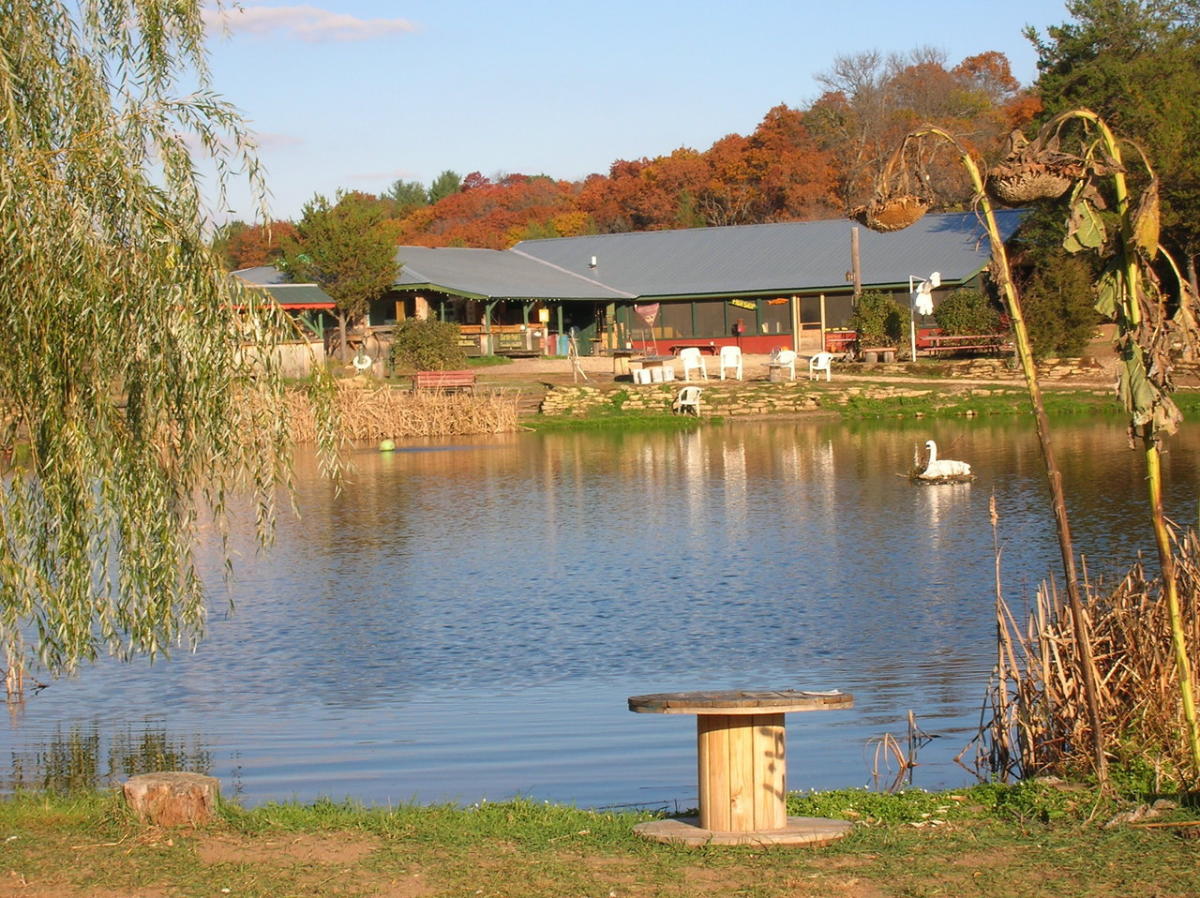 Bullfrog Fish Farm | Menomonie, WI 54751