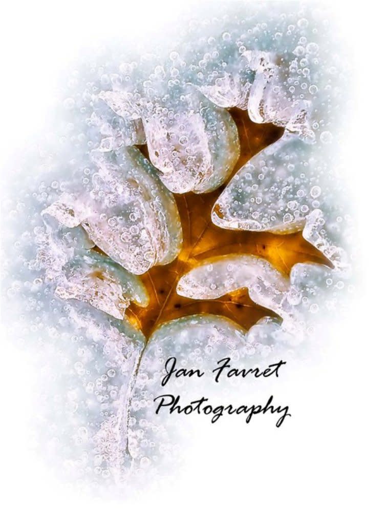 Jan Favret Photography | Eau Claire, WI 54703