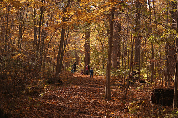 Ox Bow County Park | Goshen, IN 46528