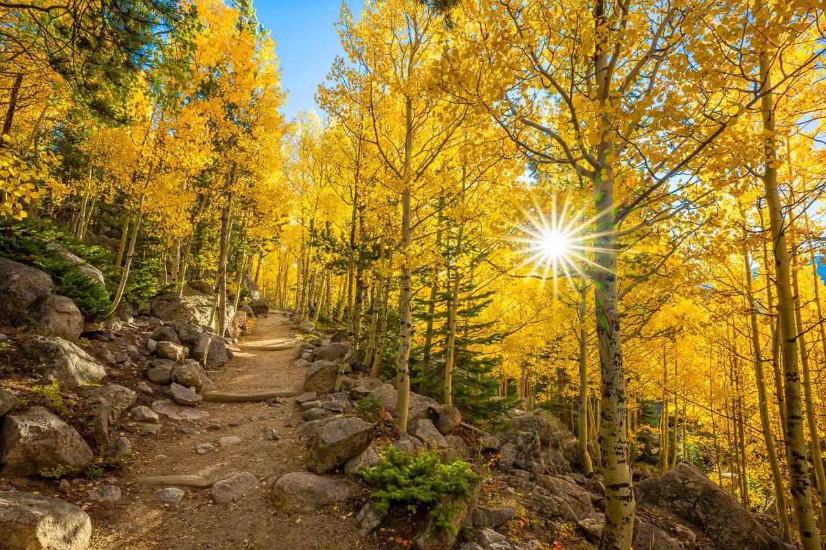 Yellow Wood Guiding - Private Tours