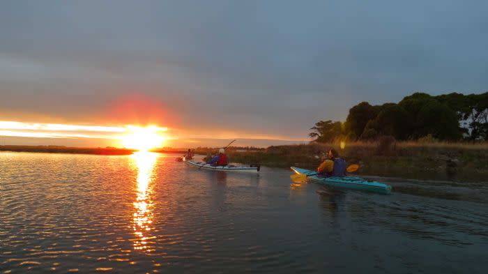 Humboats Kayak Adventures