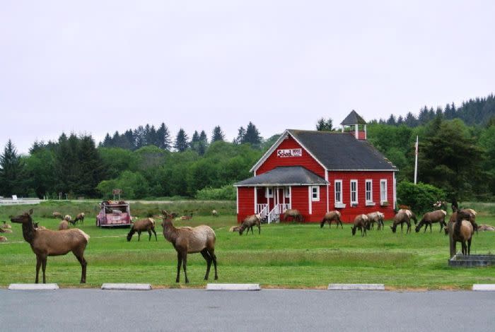 Elk Country RV Resort & Campground
