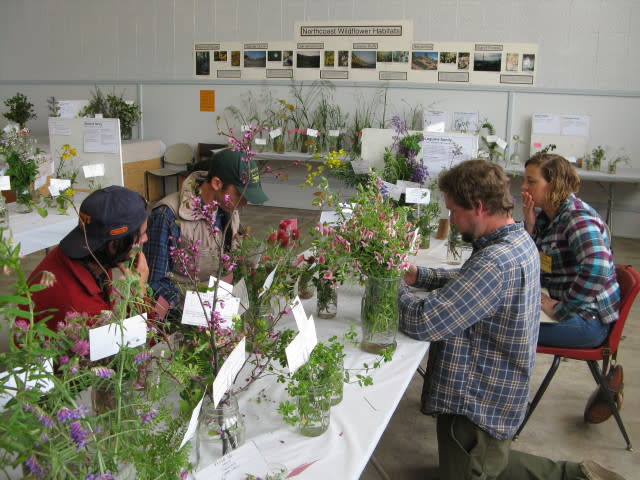 Spring Wild Flower Show