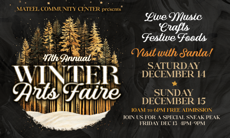 Winter Arts Faire - Mateel