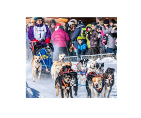 Alaska Dog Mushers Association, Inc.