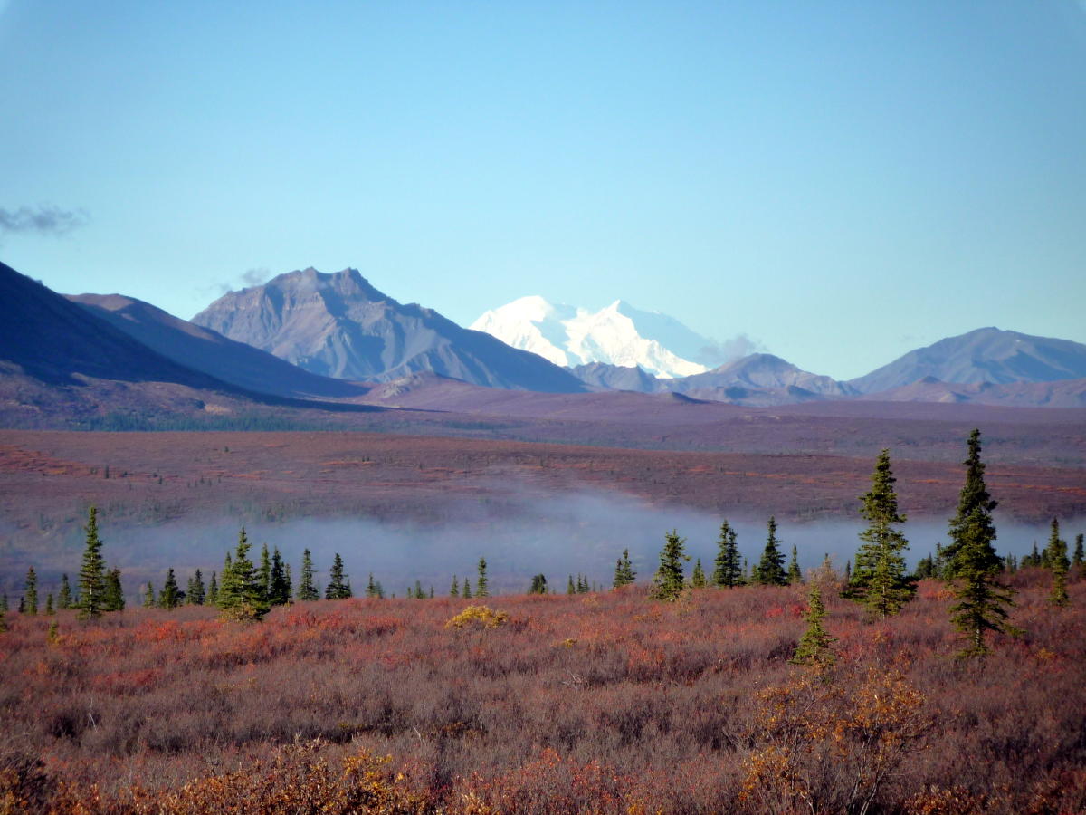 GoNorth Travel Center