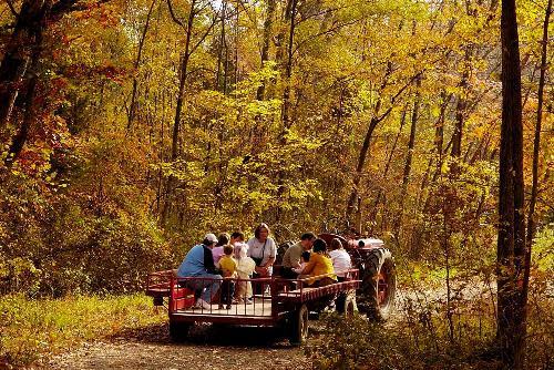 Frying Pan Farm Park