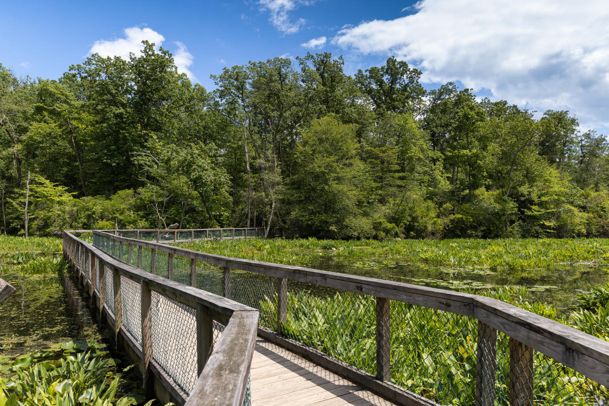 Mason Neck State Park