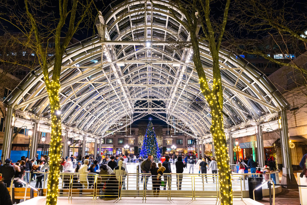 Reston Town Center Ice Skating Pavilion
