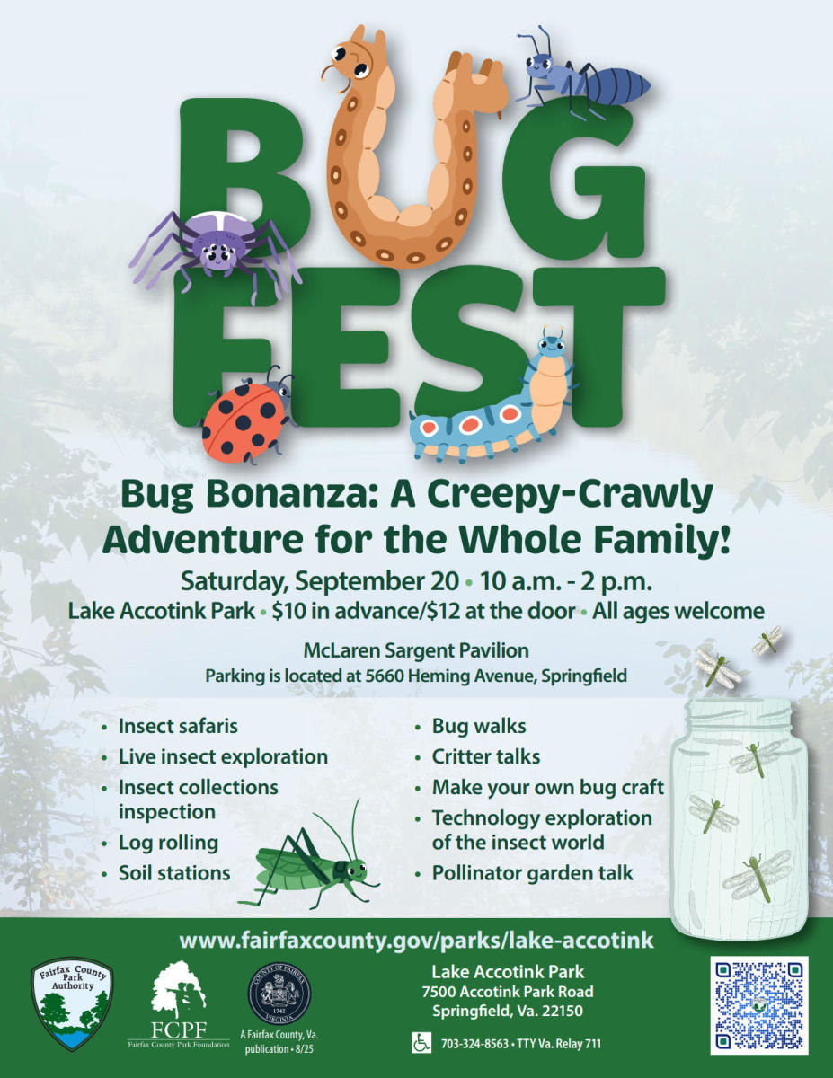 Bug Fest