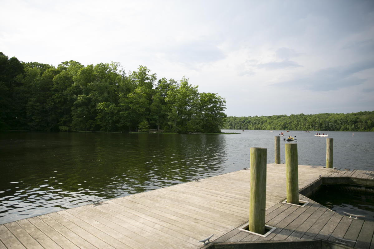 Burke Lake Park
