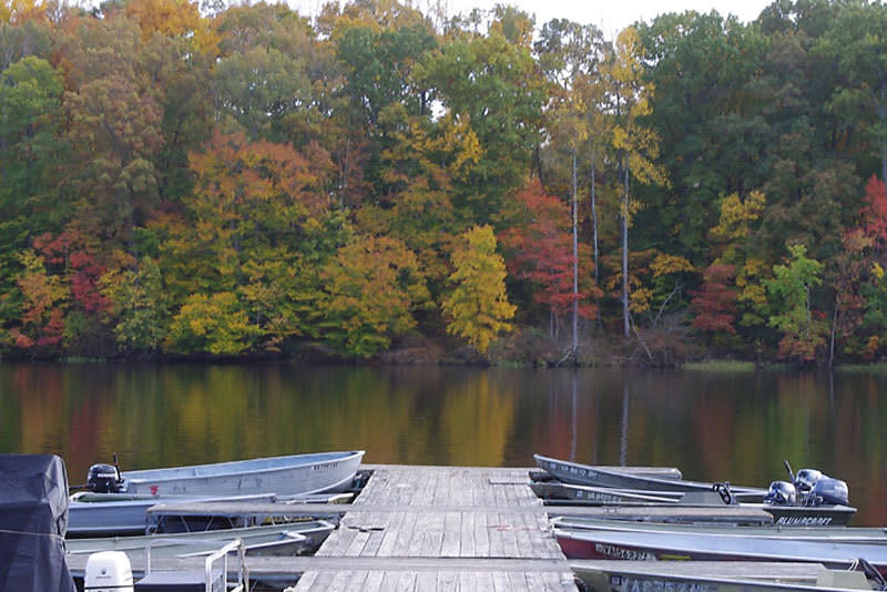 Sandy Run Regional Park