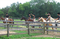 Tamarack Stables
