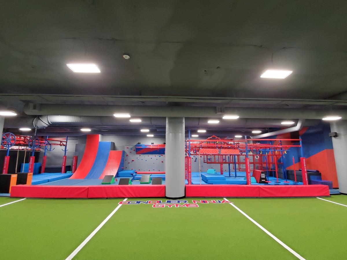 Conquer Ninja Gym