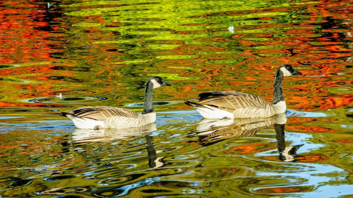 South River Prairie Conservation Area