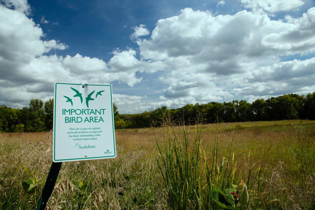 Lions Conservancy Park