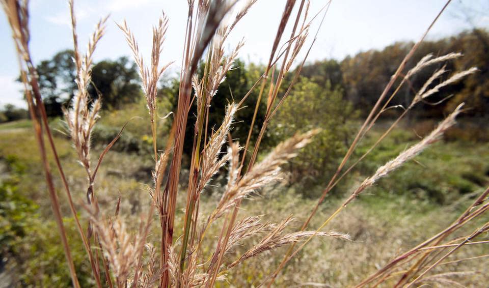 Heritage Hills Conservation Area