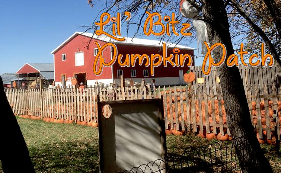 Lil Bitz Pumpkin Patch