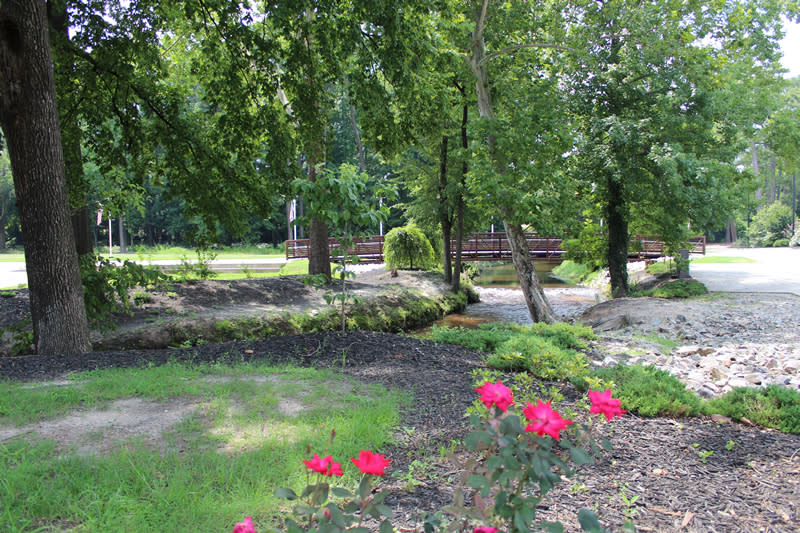 Festival Park