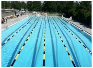 Twin Lions Outdoor Pool