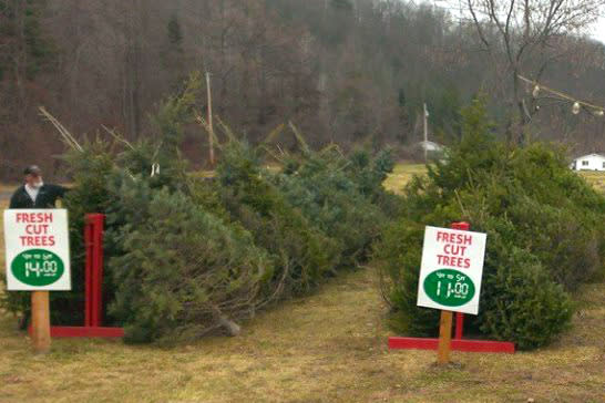 Towner Tree Farms