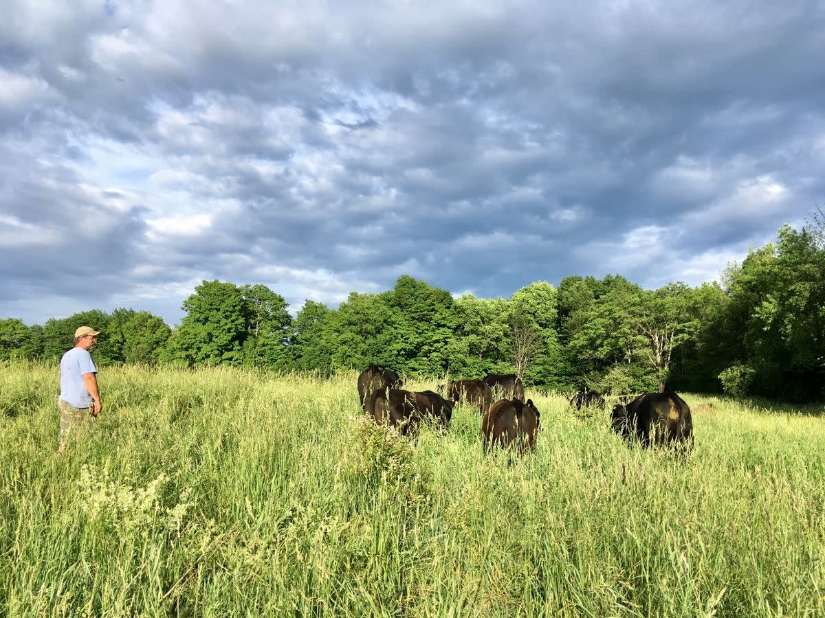 Sweet Grass Meats | Naples, NY