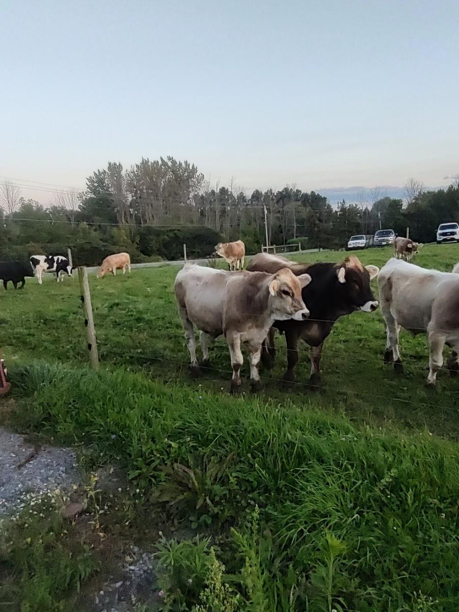 Pickering Farms | Canandaigua, NY