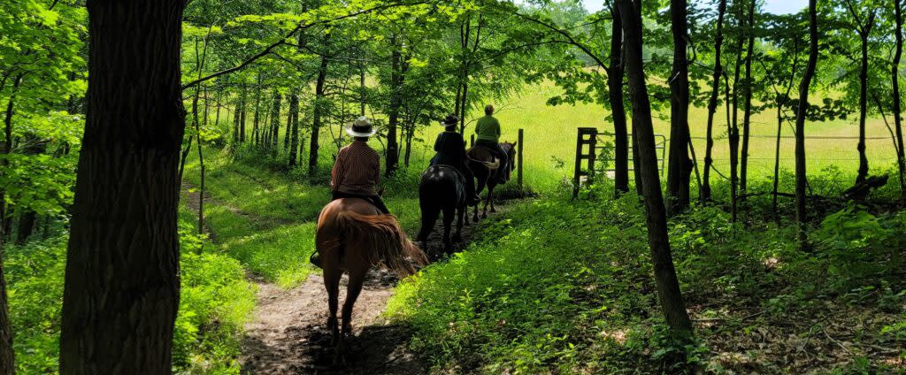 Green Riding Retreats | Bloomfield, NY
