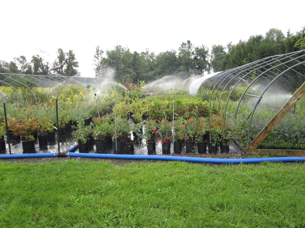 Coldwater Pond Nursery | Phelps, NY
