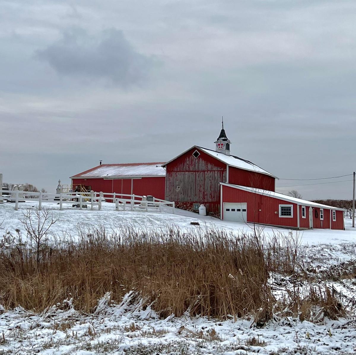 Randall Standish Vineyards | Canandaigua, NY
