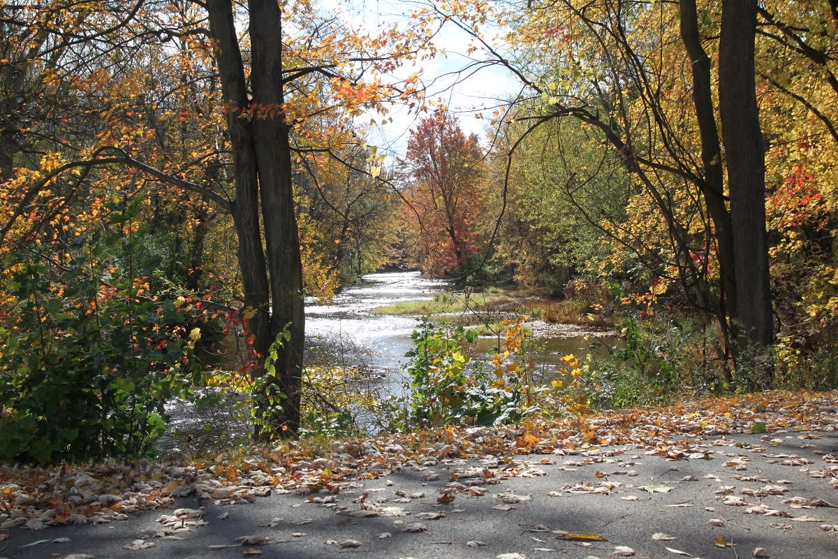 Manchester Gateway Trail | Manchester, NY