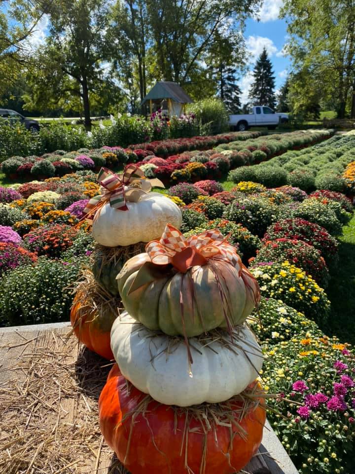 Starrs Lakeview Farms