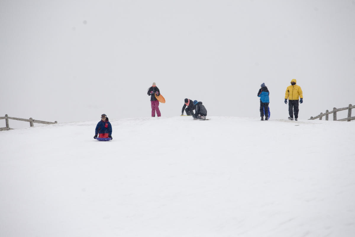 Creasey Bicentennial Park - Grand Blanc Parks & Recreation