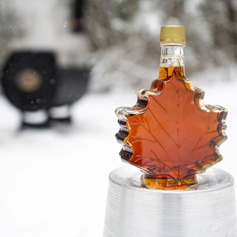 Sap to Syrup - Maple Sugaring in Your Backyard