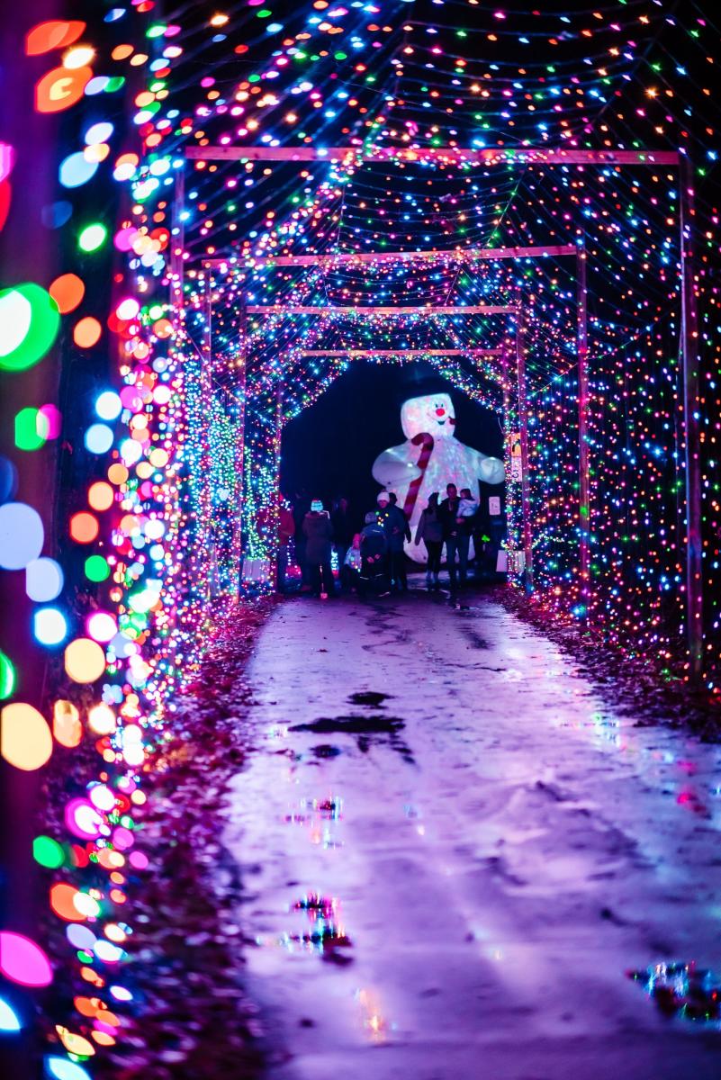 Bicentennial Park Holiday Walking Night Scavenger Hunt Night