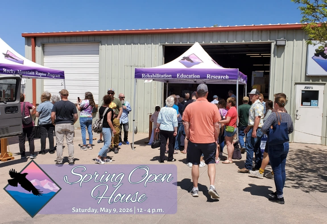 Spring Open House at RMRP