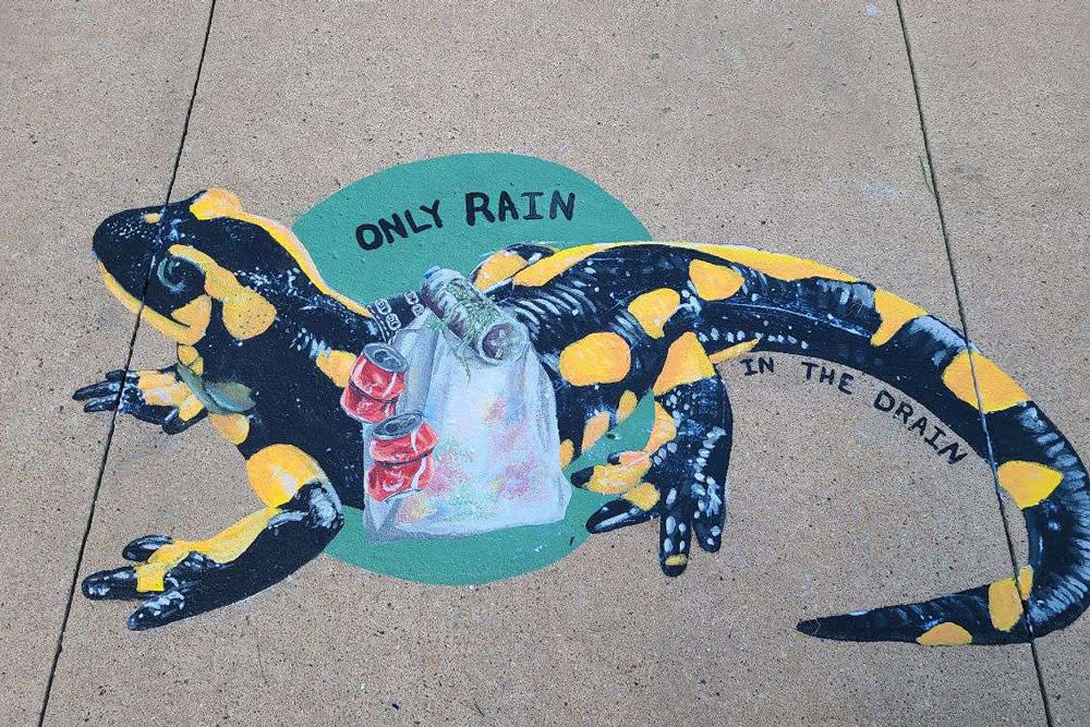 Clean Drains - Amanda Dornbush