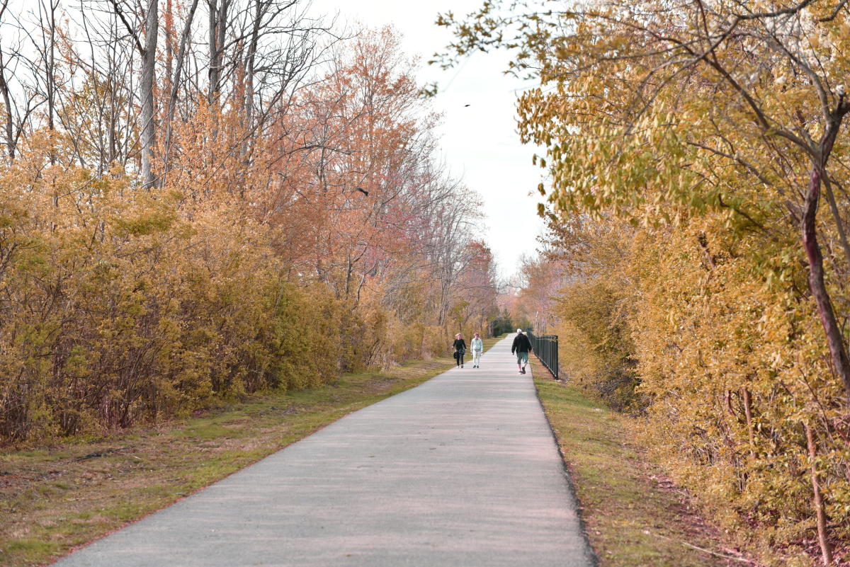 Fall Pufferbelly Trail Tree Canopy