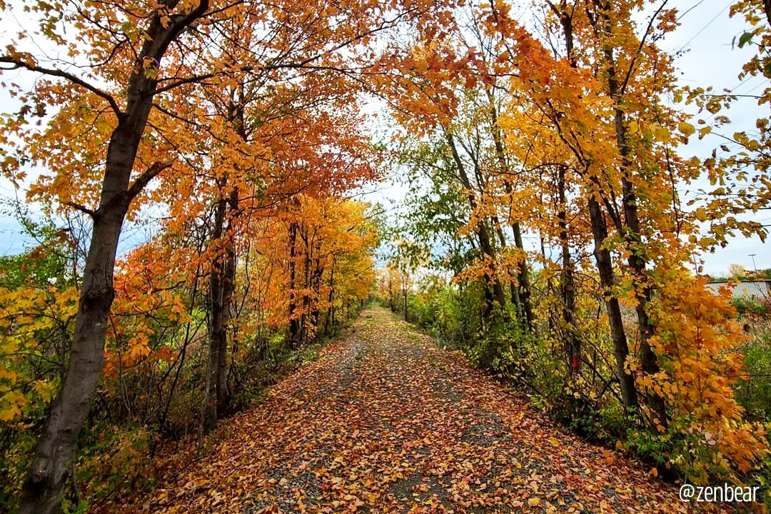Pufferbelly Trail: Salomon Farm Excursion