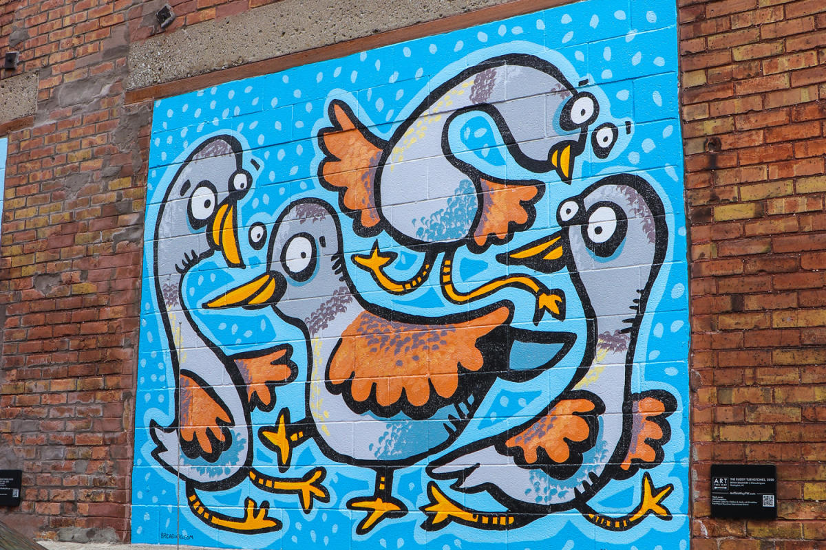 The Ruddy Turnstones