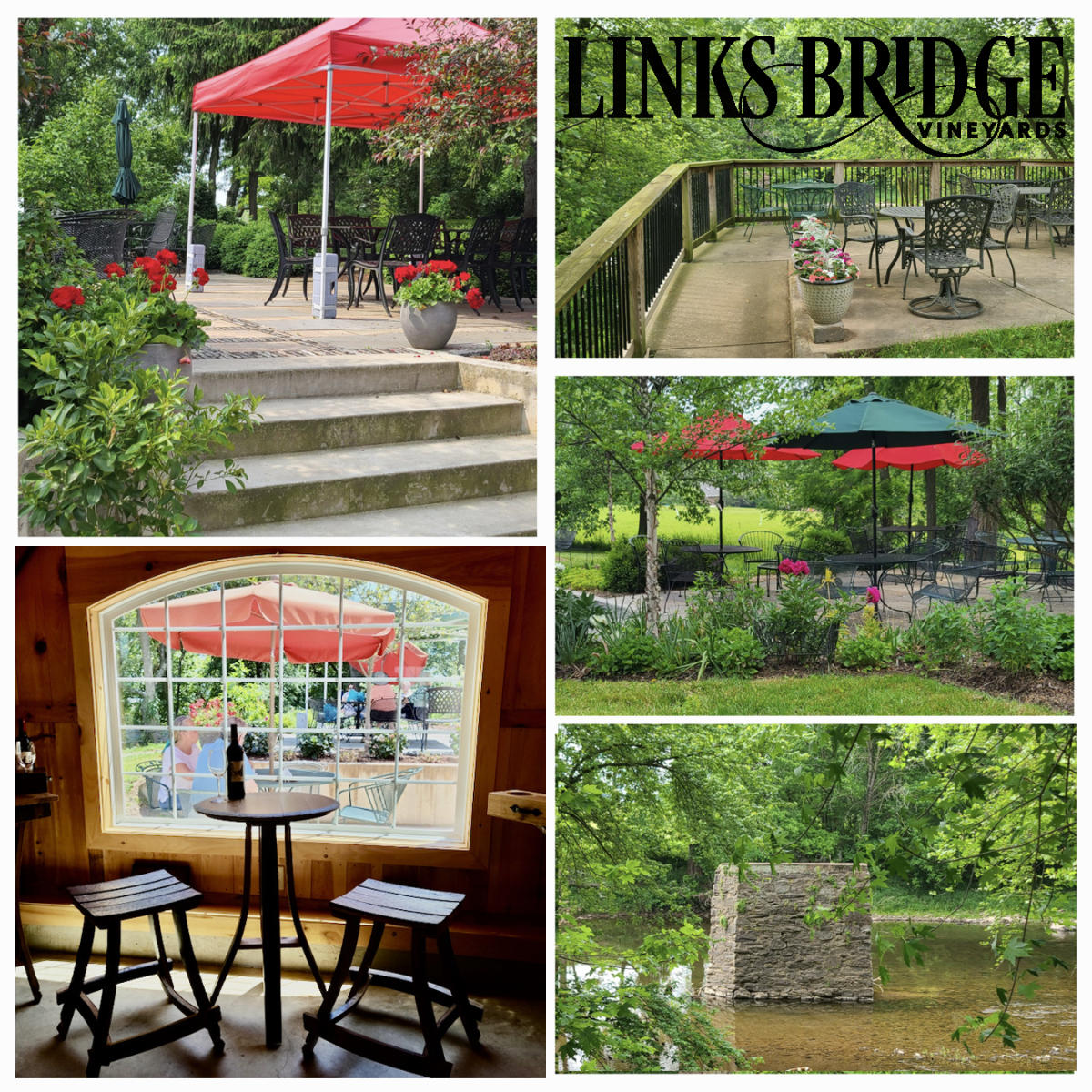 Links Bridge Vineyards