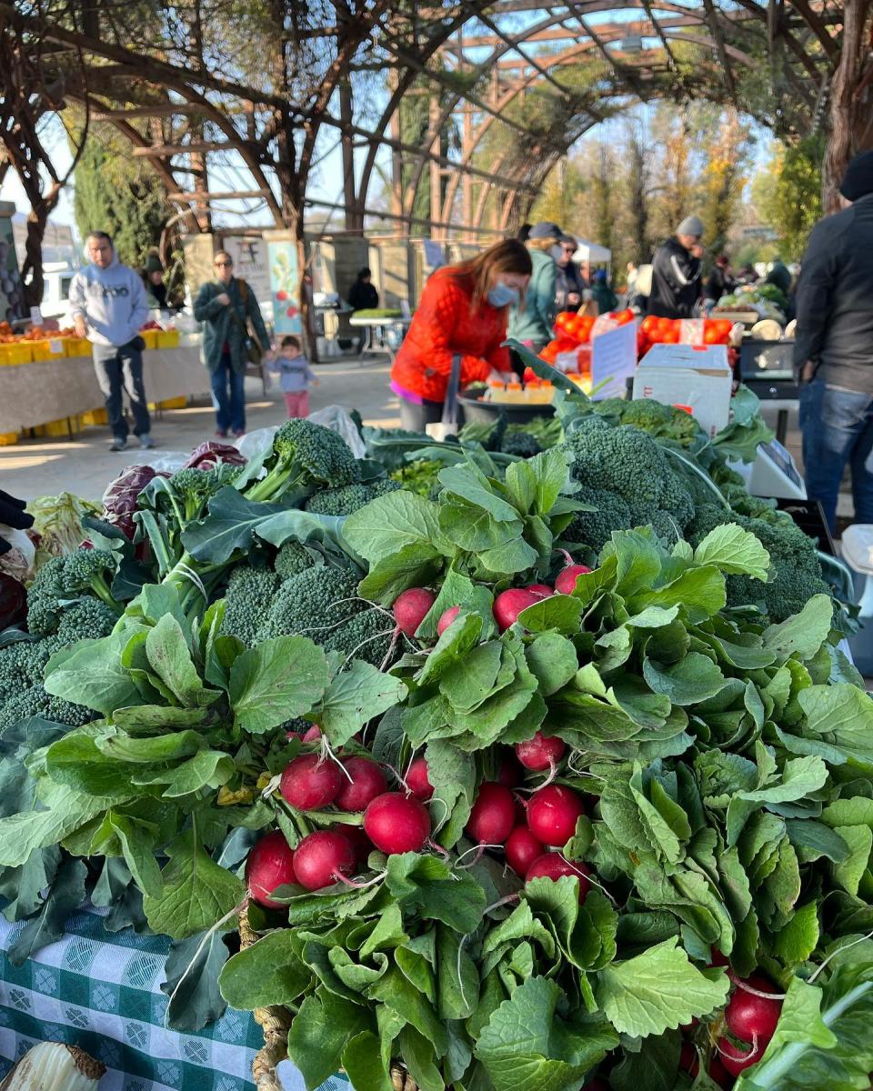 Vineyard Farmer's Market