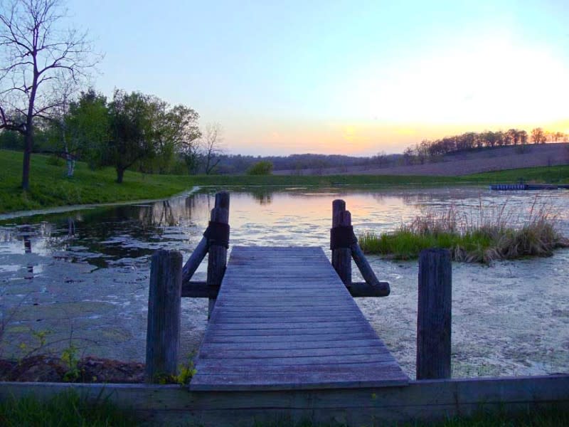 Brixen Ivy Ranch in Elizabeth, IL | Galena Country