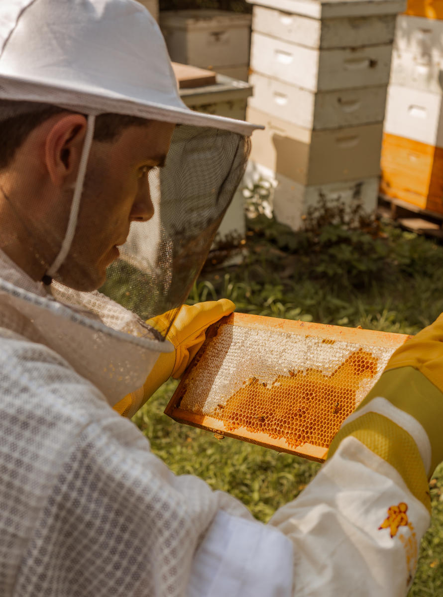 Dry Creek Beekeeping